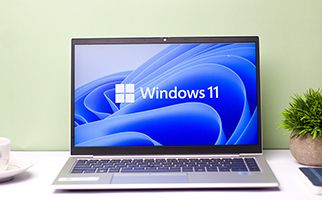 How To Fix Windows 11 Keeps Crashing - Volt Fixer